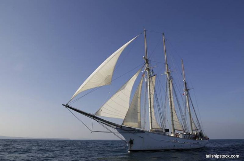BLUE CLIPPER - Sail On Board